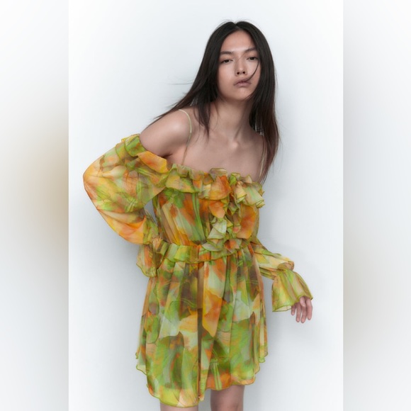 Zara | Dresses | Zara Ruffled And Tulle Dress | Poshmark